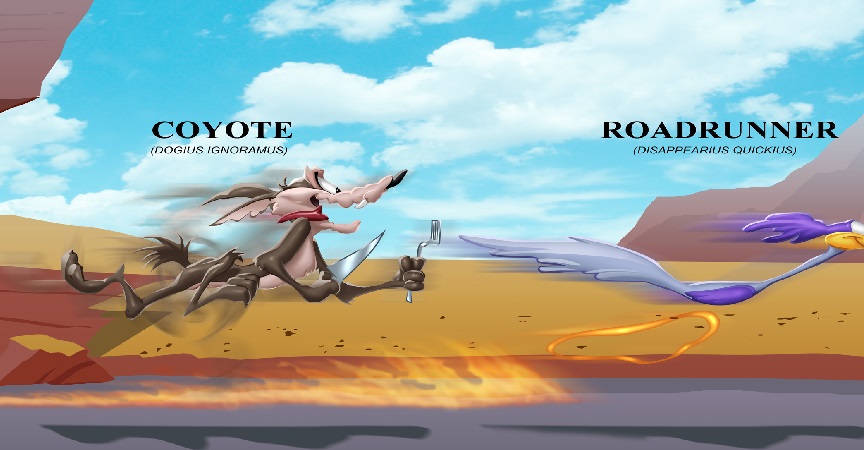 El Correcaminos y Coyote, 70 años juntos – TV&SHOW